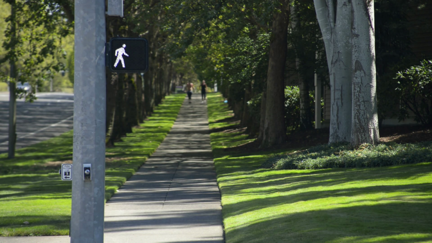 cropped-a-crosswalk-signal-going-from-the-stop-hand-to-the-walk-symbol ...